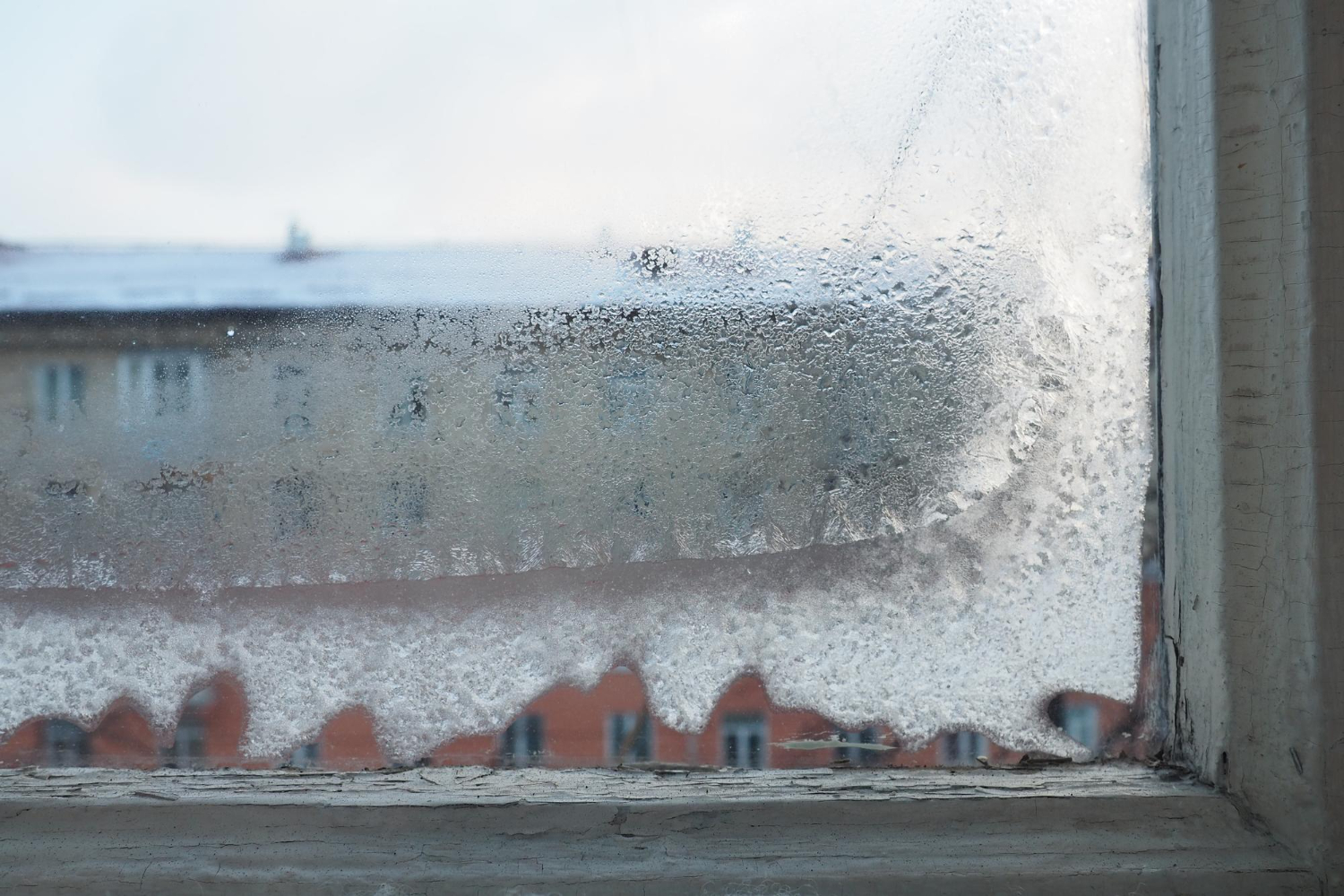 Get Rid of Condensation This Winter with Professional Window Glass ...